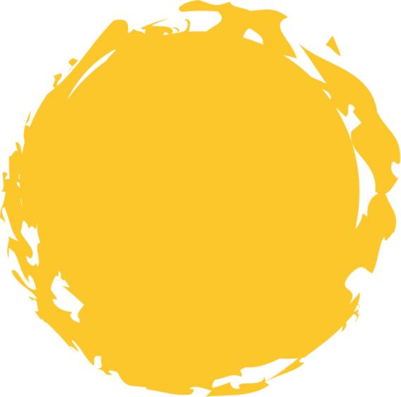 Daily Delight – Daily Delight